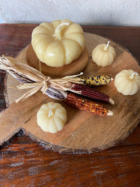 Fall Candles – Long Meadow Beeworks